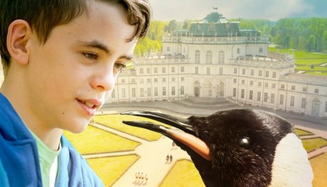 Family Adventure ‘The Magic Penguin’ Arrives on Digital, VOD Dec. 17 ...